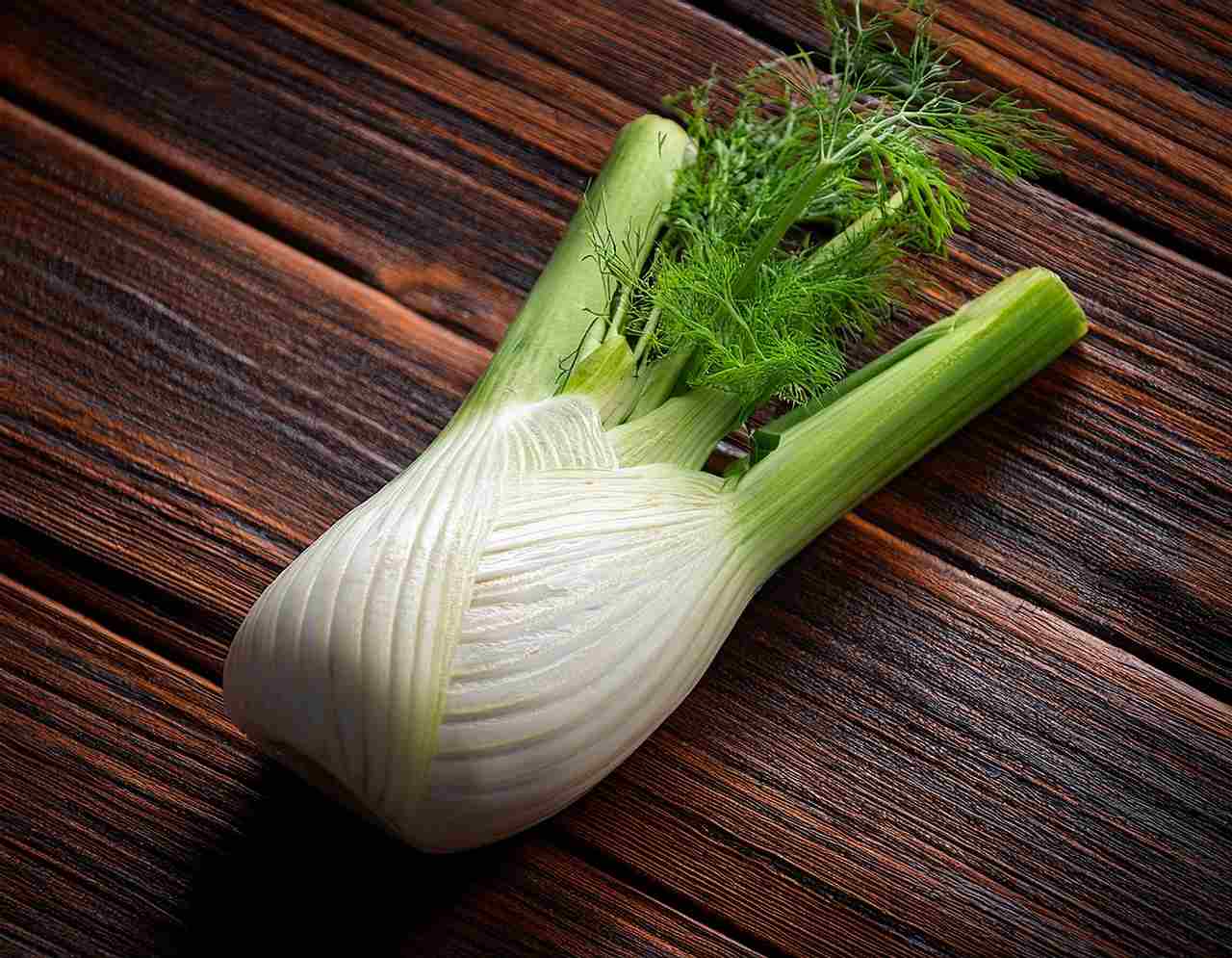 Фенхель: що це, чим корисний та як вживати - Поради