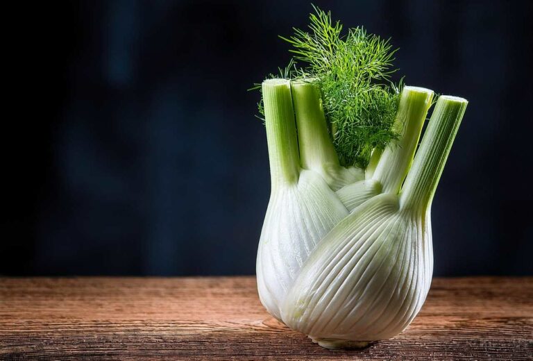 Фенхель: що це, чим корисний та як вживати - Поради